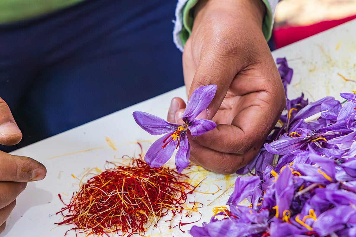 Saffron Extract: A Natural Solution for Mood Balance and Cognitive Wel ...