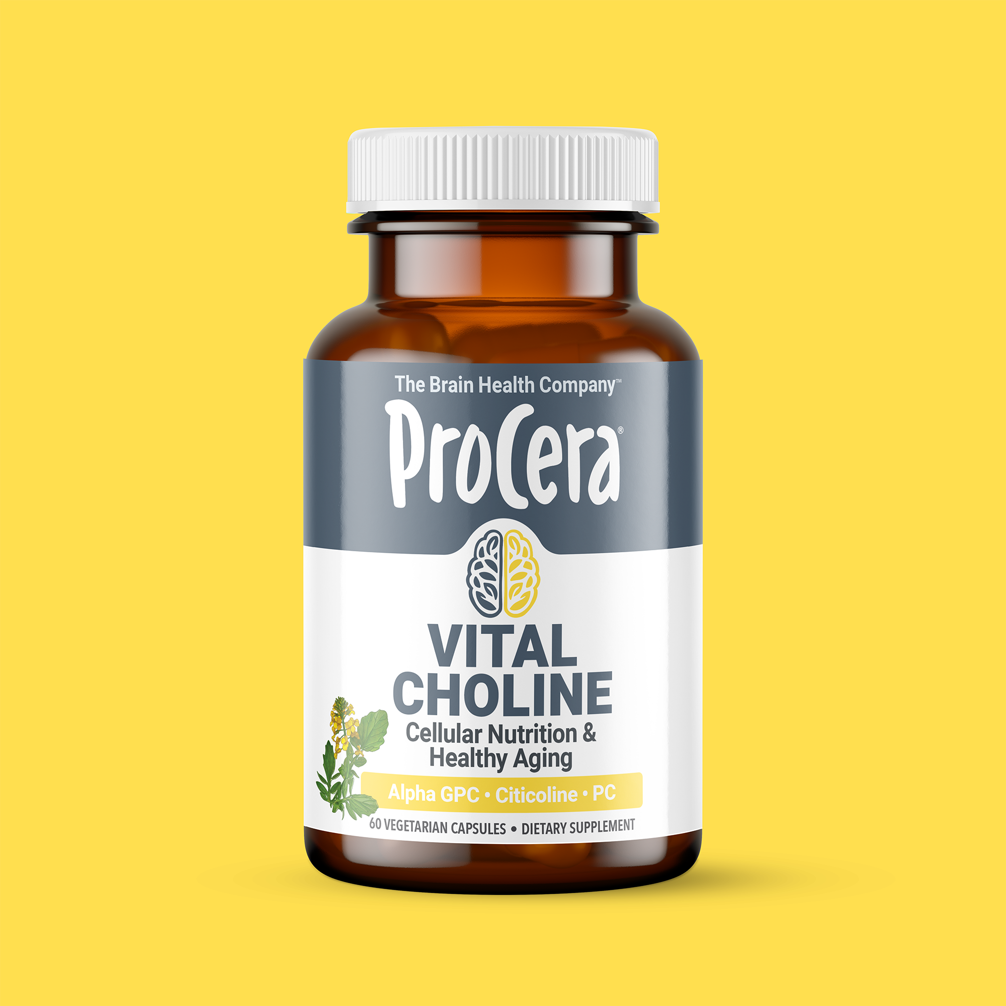 Procera Vital Choline® – Procera Health