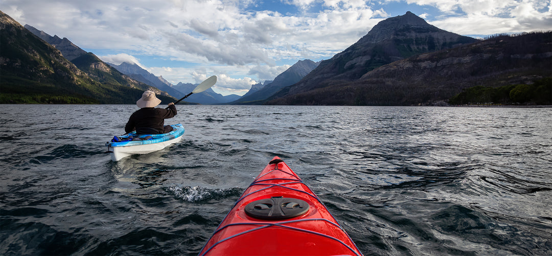 Procera Protect® – Procera Health